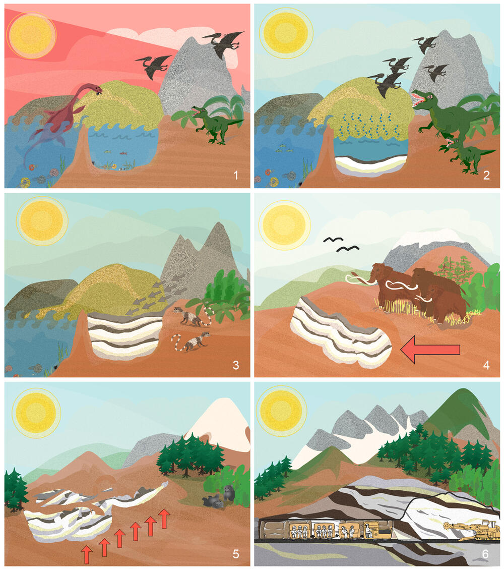 Creation - Salinen Austria AG