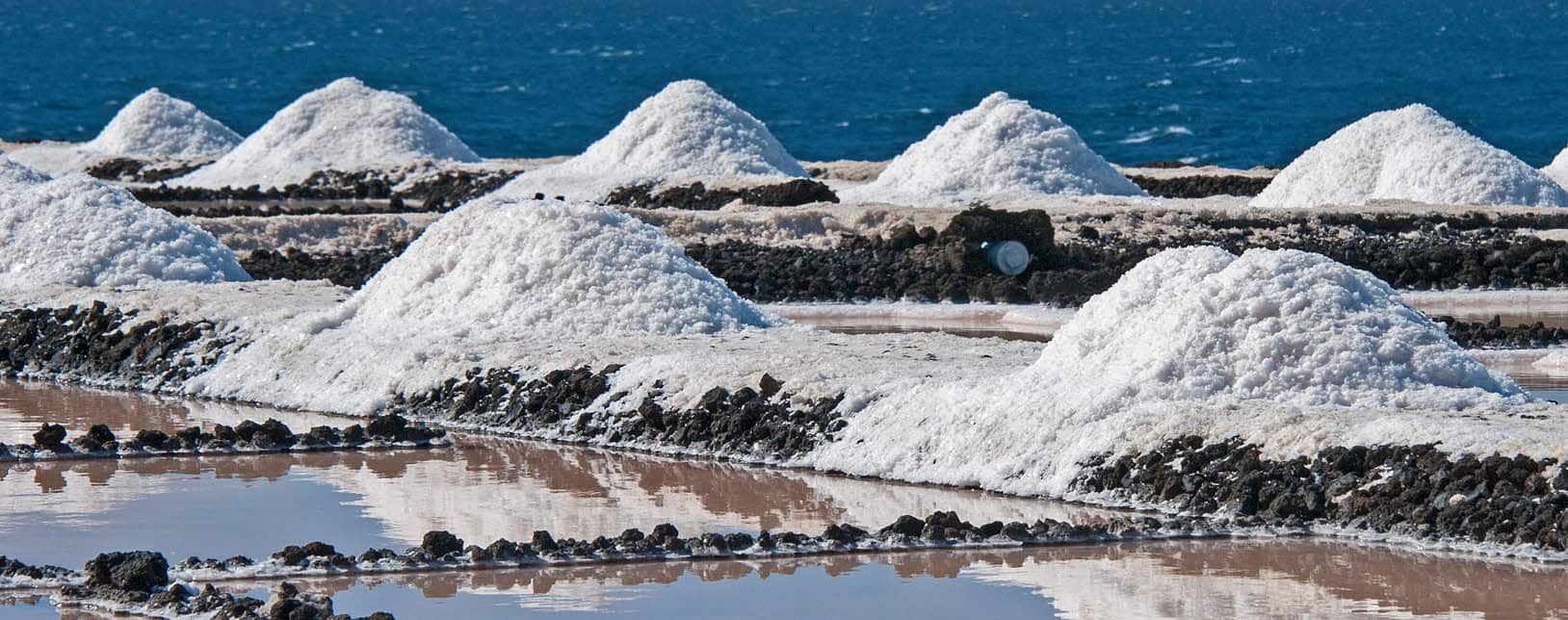 Sea Salt - Salinen Austria AG