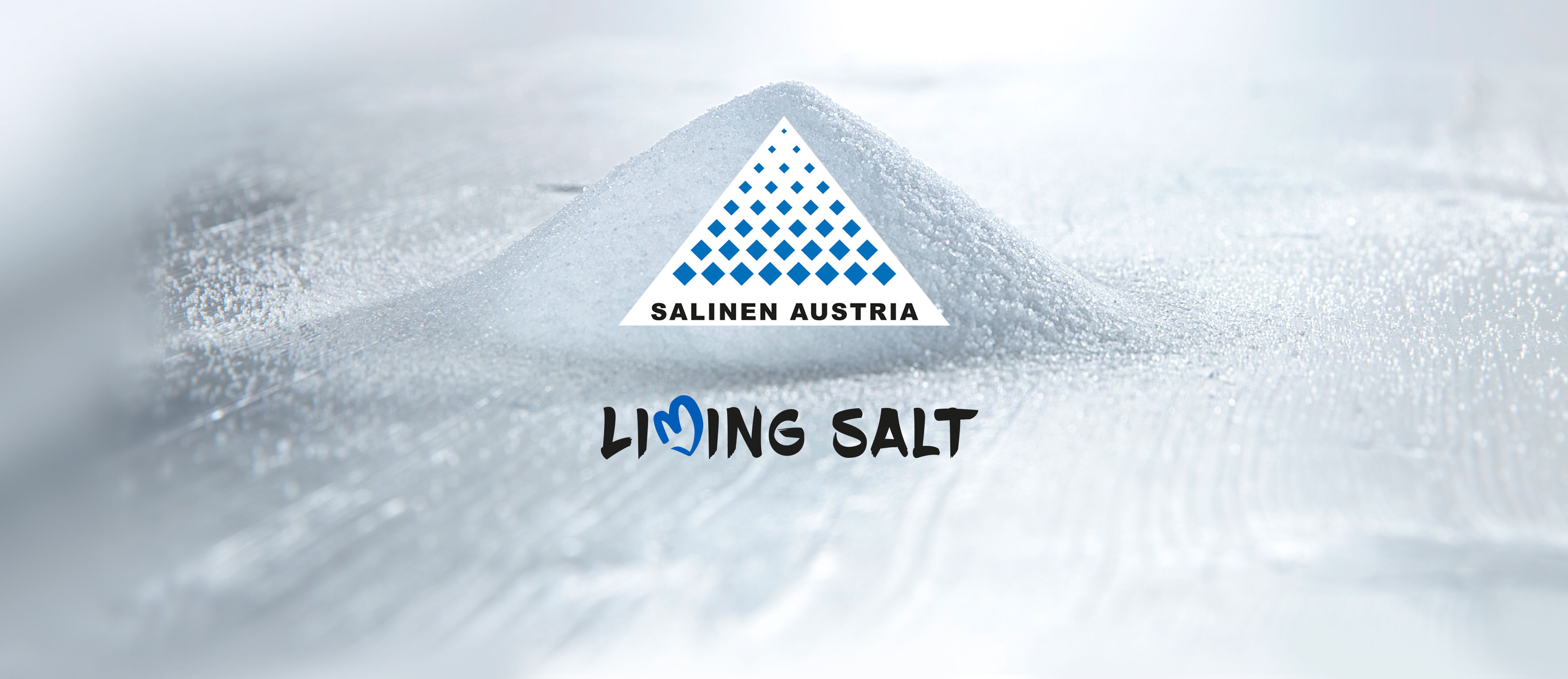 Salinen Austria AG: high-purity salt from the Austrian Alps